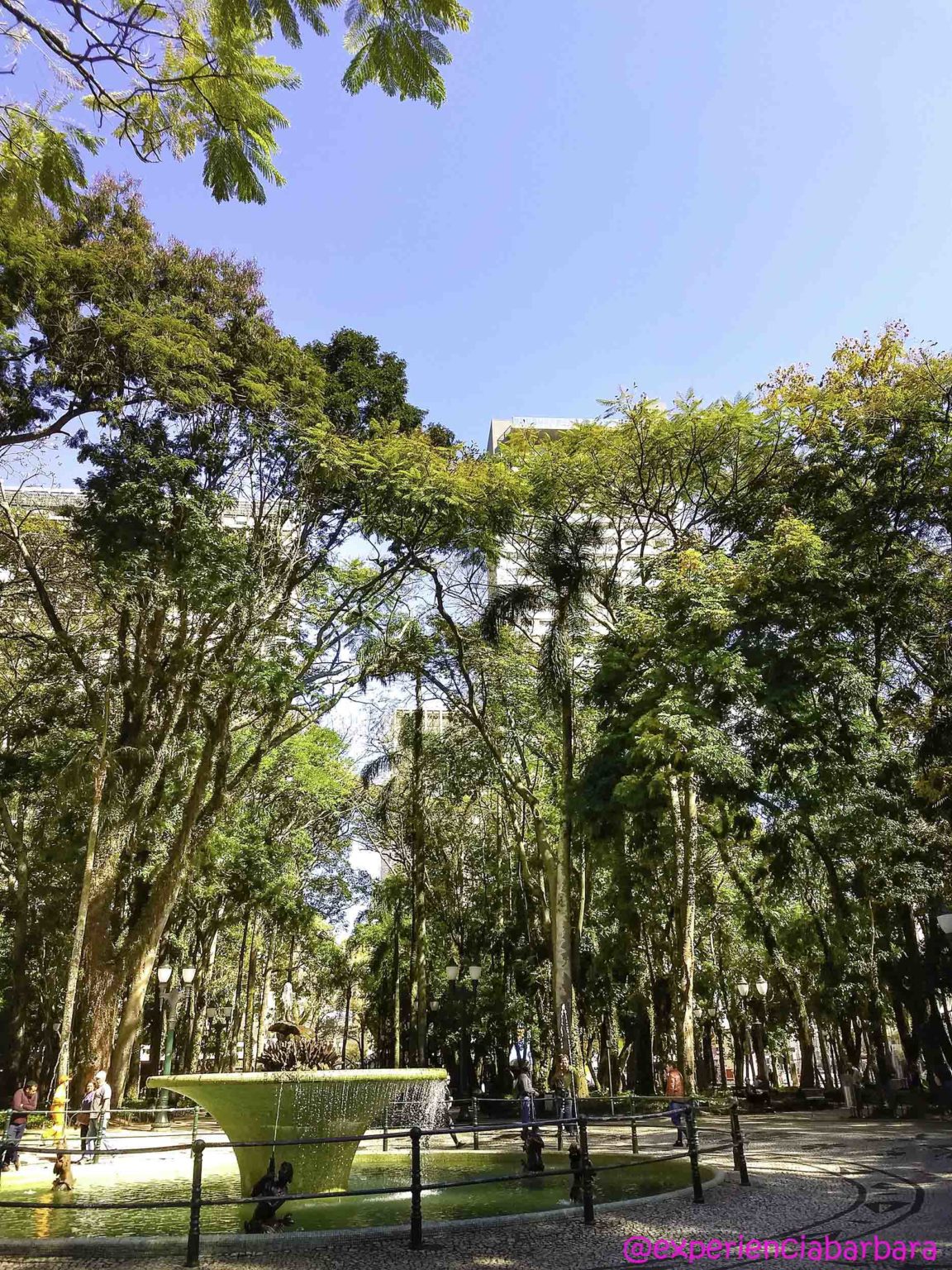 Inverno em Curitiba: o melhor da estação - Experiência Barbara