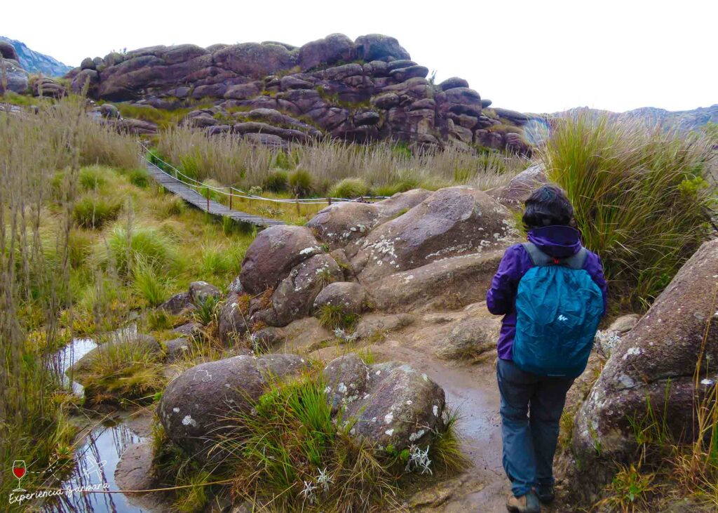 Parque Nacional do Itatiaia: o que fazer na parte alta - Experiência ...