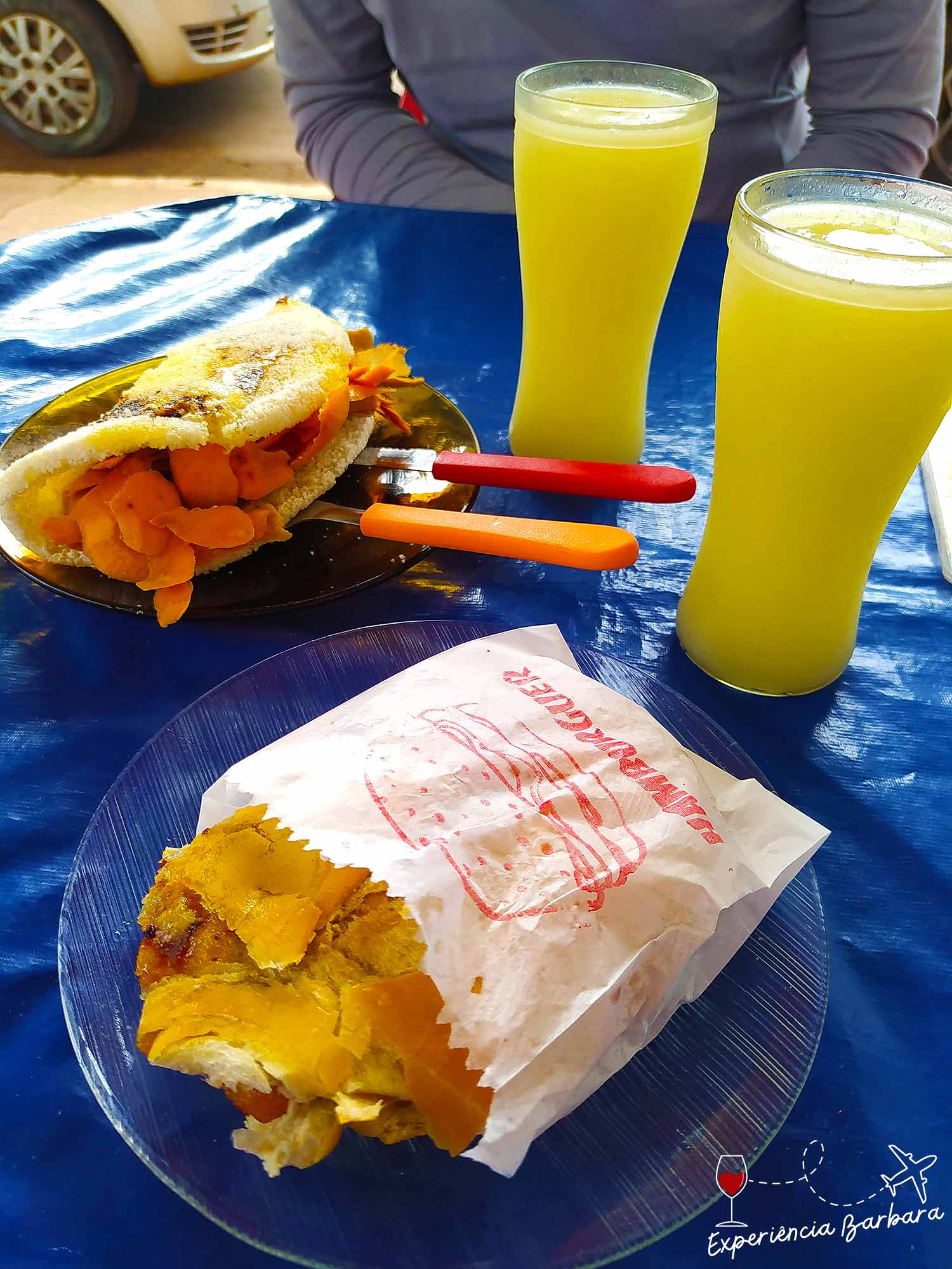 2 dias pelas cachoeiras de Presidente Figueiredo - Experiência Barbara