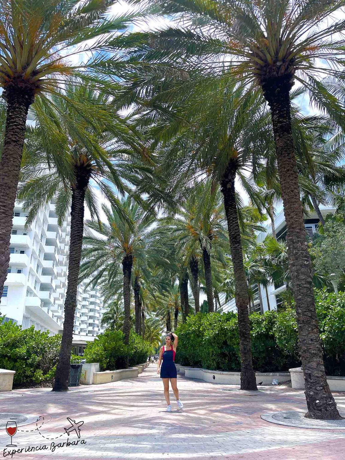 Roteiro quase de graça por Miami e Miami Beach | Experiência Barbara